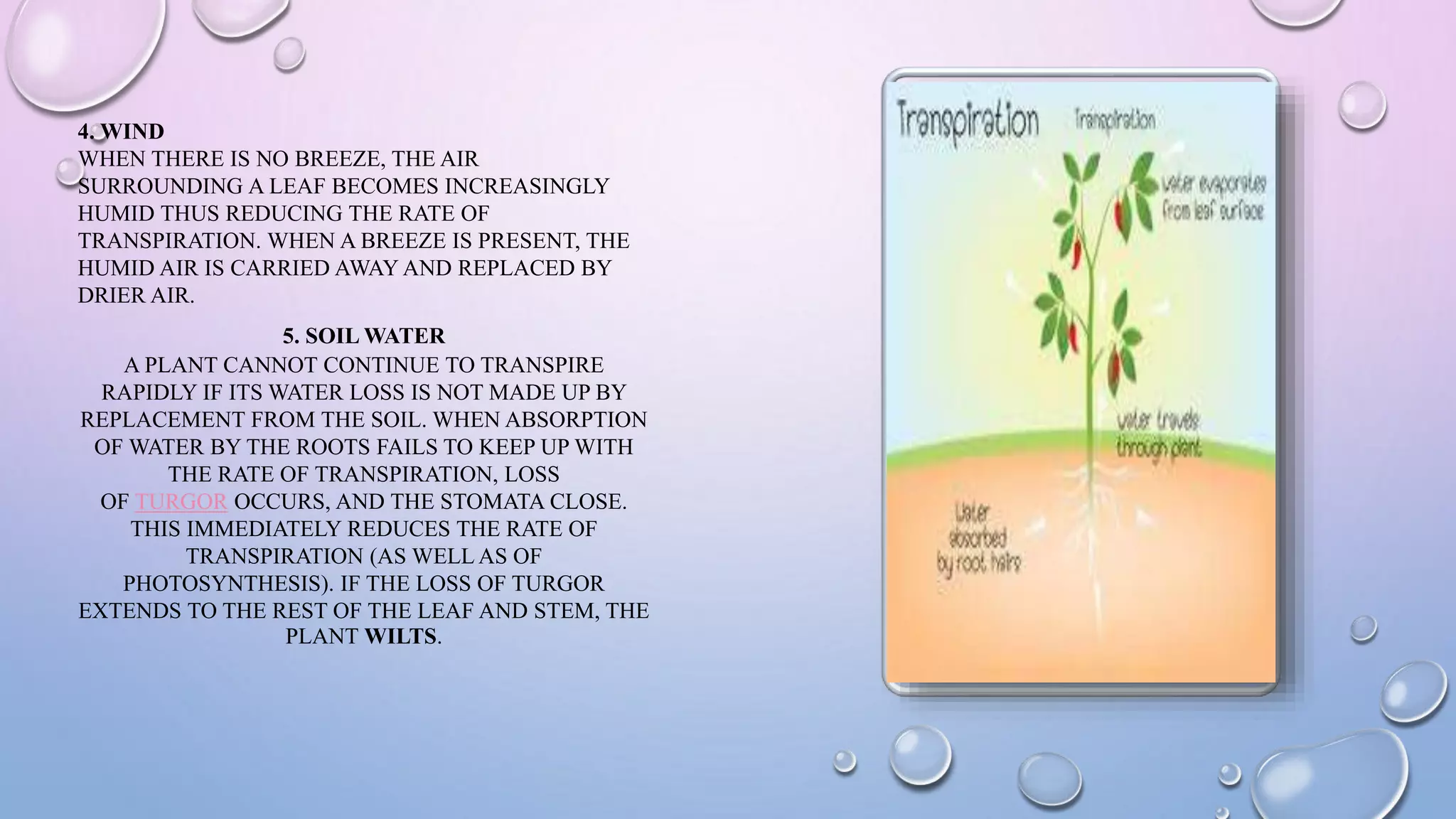 TRANSPIRATION | PPTX