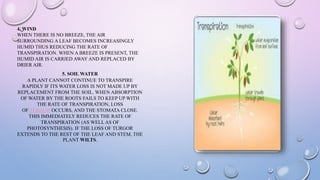 TRANSPIRATION | PPTX