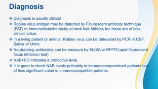 Rabies | PPT