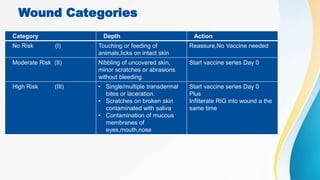 Rabies | PPT