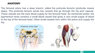 ORTHOPEDIC (HIP BONE) | PPT
