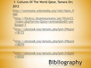 Ali Qatar | PPT