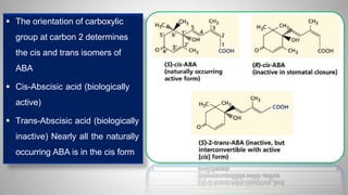 plant abscisic acid aba bu ali rasool | PPT
