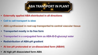 plant abscisic acid aba bu ali rasool | PPT