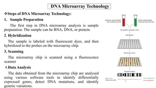 Structural Variation In The Genome And DNA Microarray Technology | PPTX