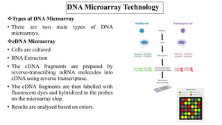Structural Variation In The Genome And DNA Microarray Technology | PPTX