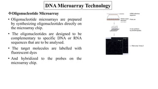 Structural Variation In The Genome And DNA Microarray Technology | PPTX