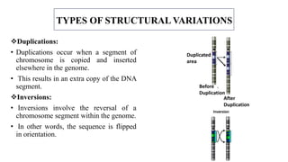 Structural Variation In The Genome And DNA Microarray Technology | PPTX