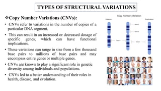 Structural Variation In The Genome And DNA Microarray Technology | PPTX