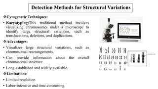 Structural Variation In The Genome And DNA Microarray Technology | PPTX