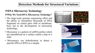 Structural Variation In The Genome And DNA Microarray Technology | PPTX