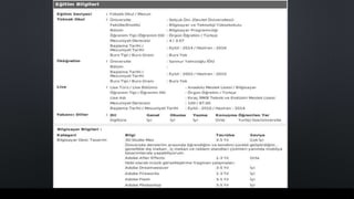 Ali aydin portfolio | PPT