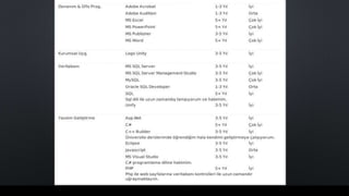 Ali aydin portfolio | PPT