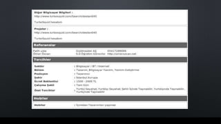Ali aydin portfolio | PPT