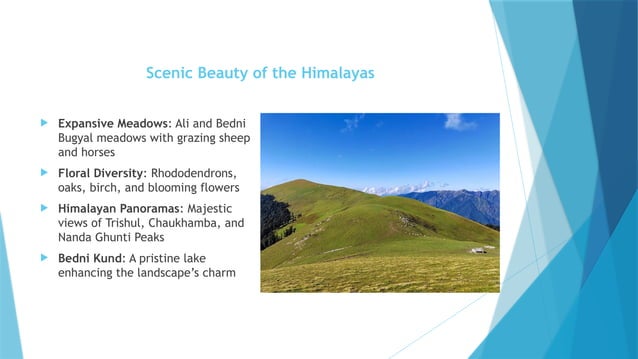 Ali Bedni Bugyal Trek - Trek The Himalayas | PPT