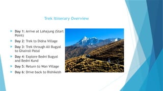 Ali Bedni Bugyal Trek - Trek The Himalayas | PPTX