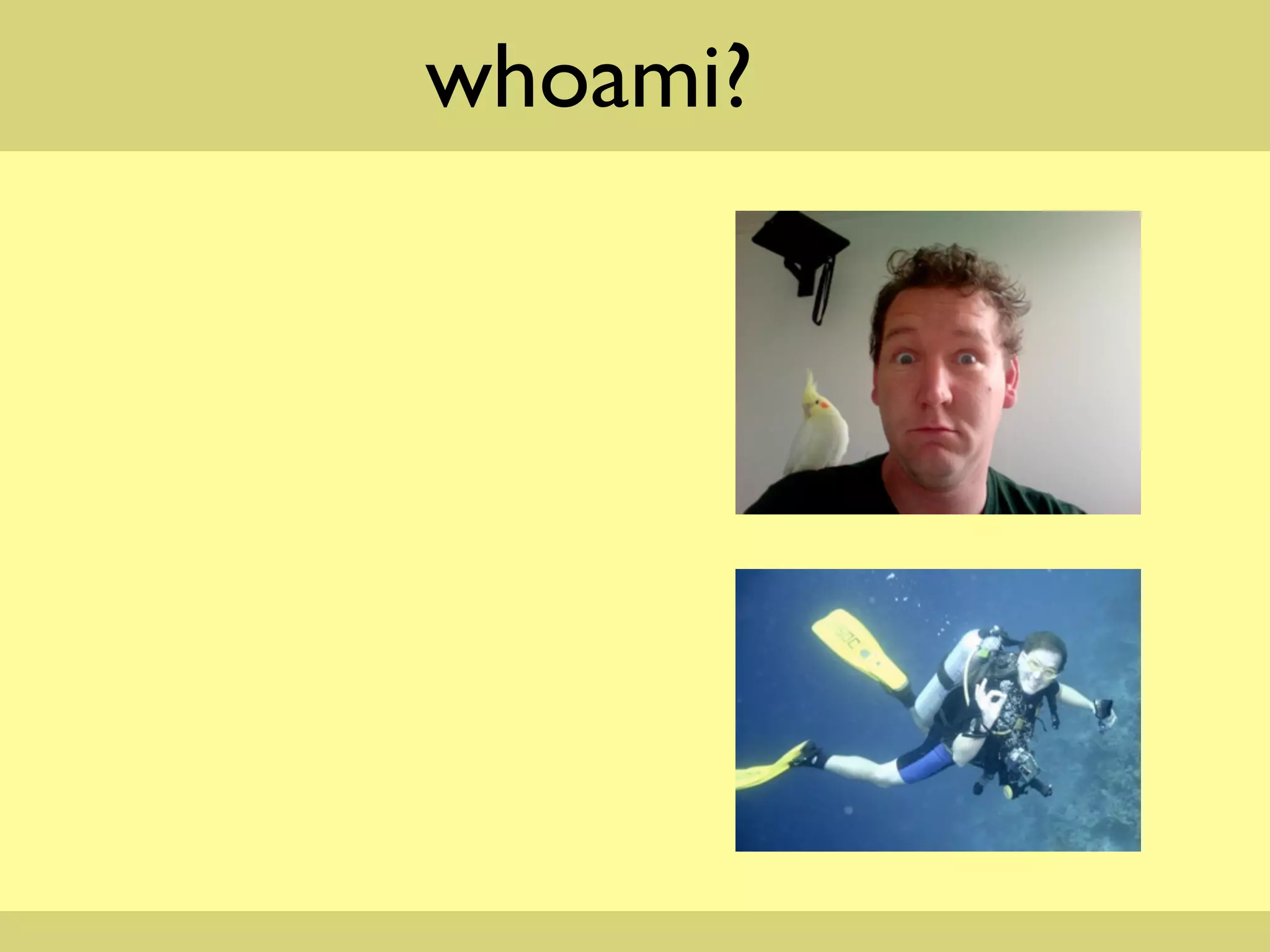 Alice & bob public key cryptography 101 | PPT