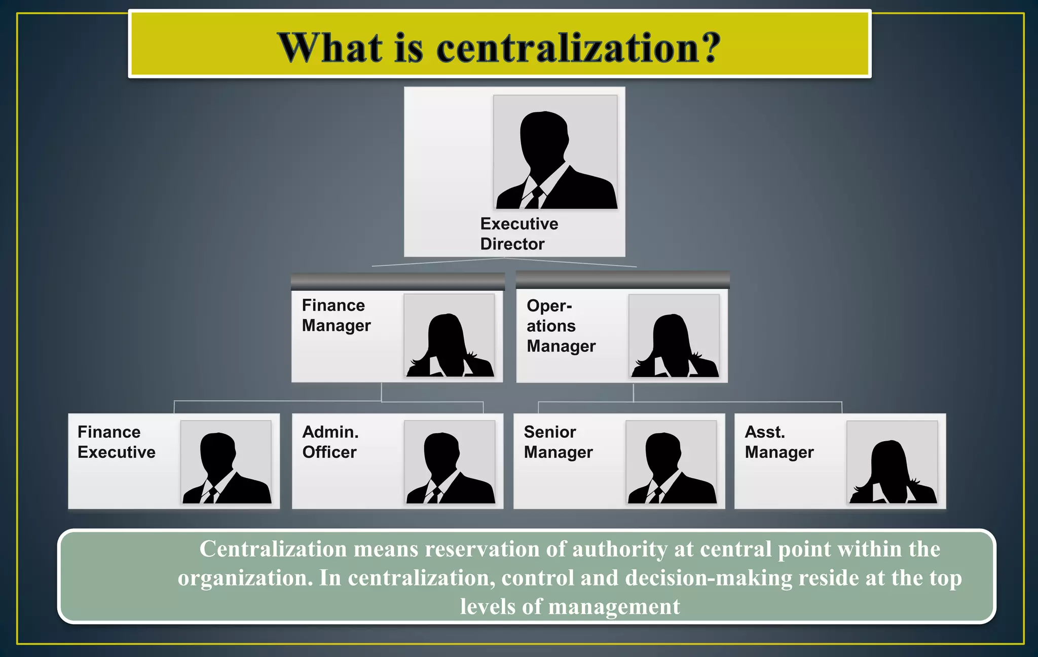 ALI Centralization and Decentralization.pptx