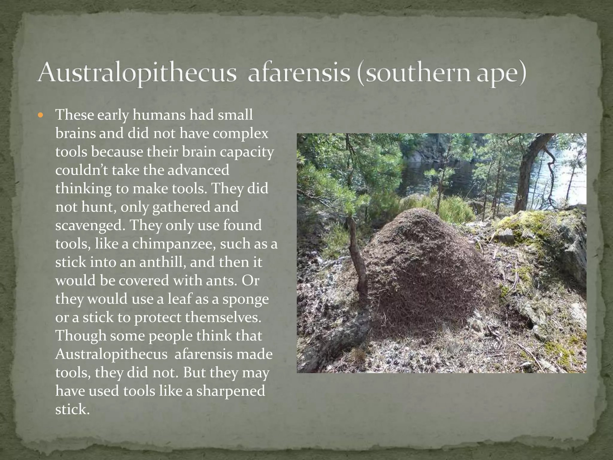 Alices early humans tools | PPTX