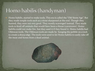 Alices early humans tools | PPTX