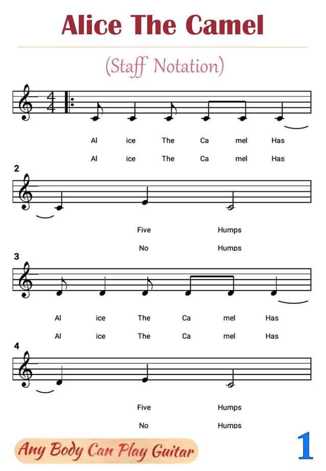 Alice The Camel | PDF