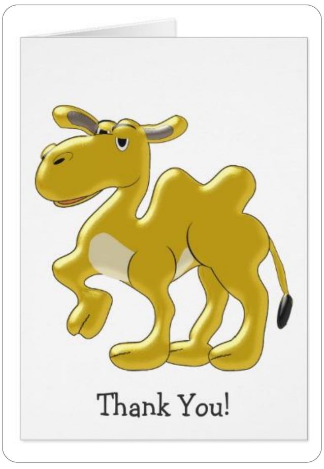 Alice The Camel | PDF