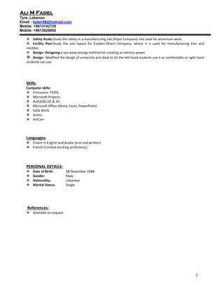 Ali M Fadel CV | PDF | Manufacturing Industry | Industries