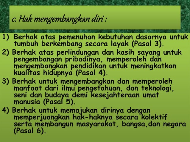 Instrumen Hukum HAM Di Indonesia | PPTX