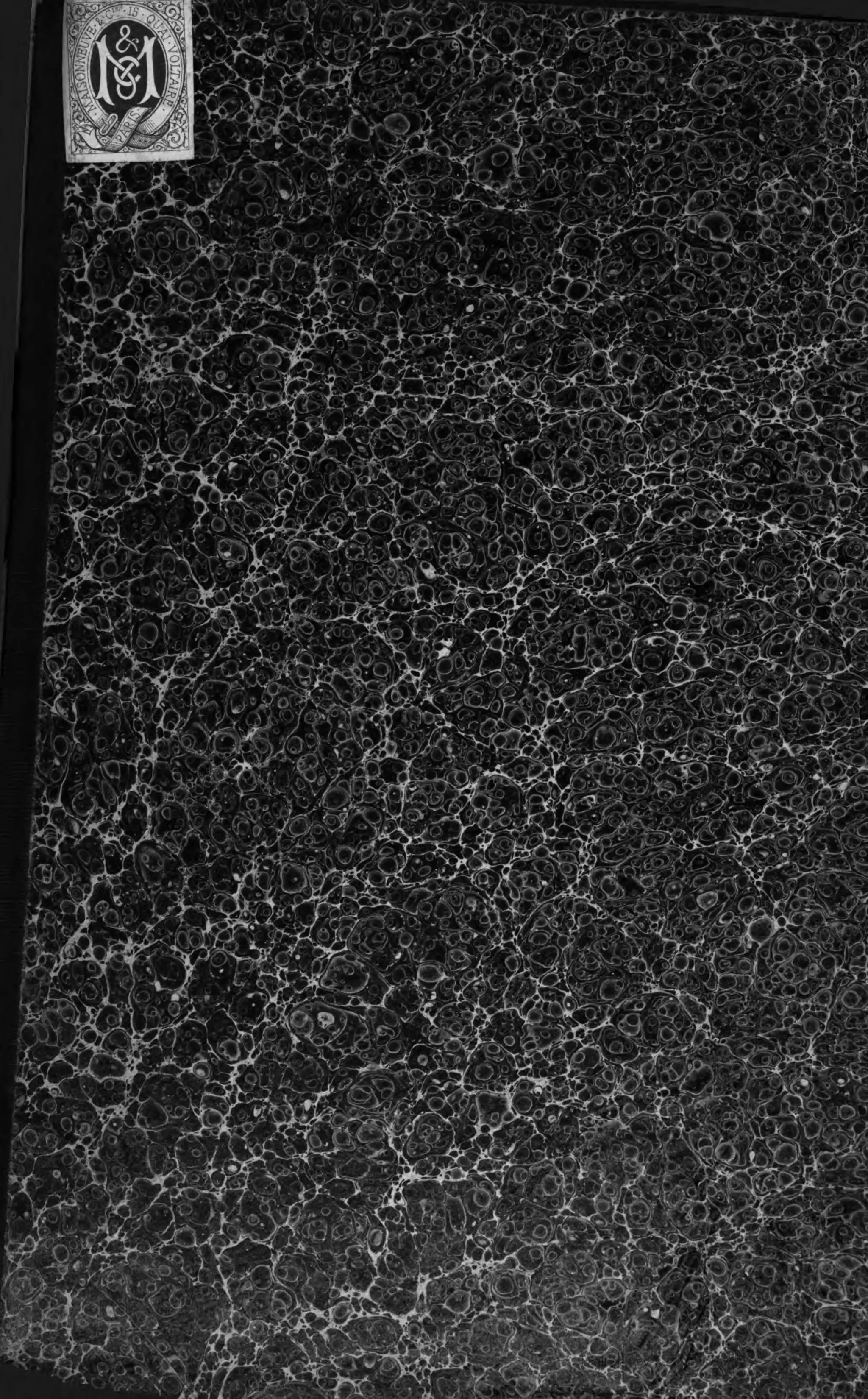 Alifuru bible gospel of matthew | PDF