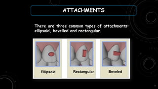 ALIGNER BIOMECHANICS in orthodontics.pptx