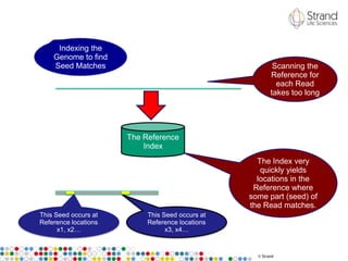 Alignment of raw reads in Avadis NGS | PPT