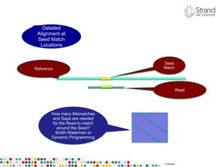 Alignment of raw reads in Avadis NGS | PPT