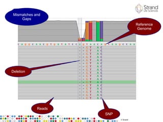 Alignment of raw reads in Avadis NGS | PPT