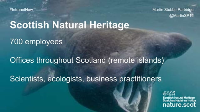 Alignment a series of leaps — Martin Stubbs-Partridge — Scottish ...