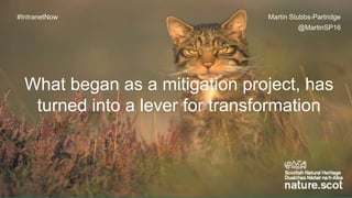 Alignment a series of leaps — Martin Stubbs-Partridge — Scottish ...