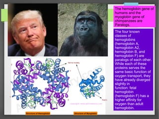 Alignment of pairs of sequence (Types of Similarity Sequences) | PPT