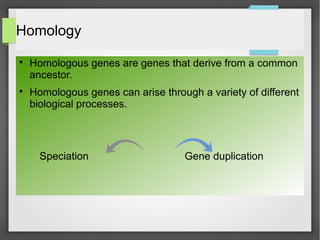 Alignment of pairs of sequence (Types of Similarity Sequences) | PPT
