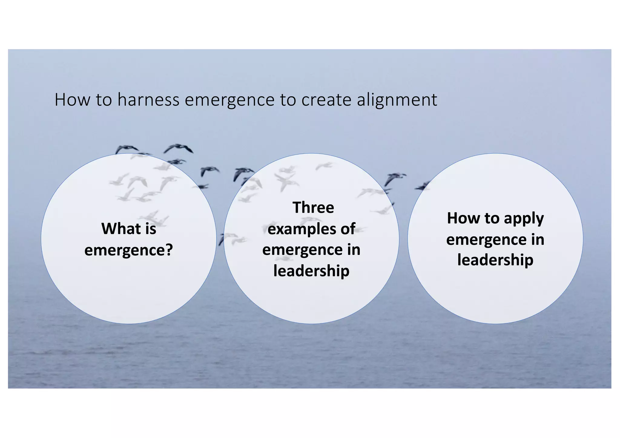 Emergence and Leadership | PDF