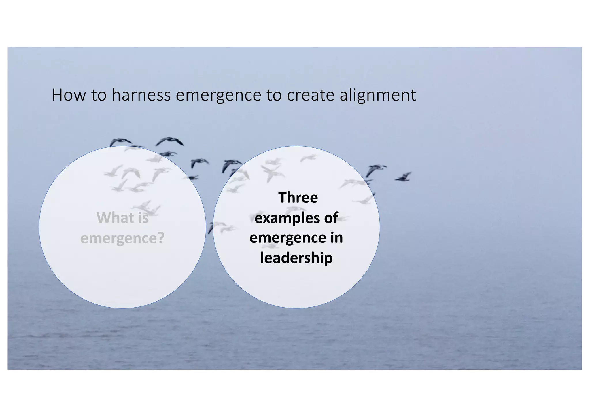 Emergence and Leadership | PDF