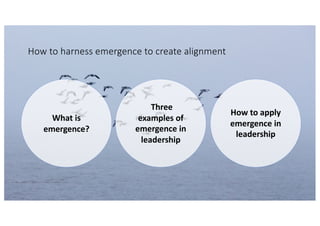 Emergence and Leadership | PDF
