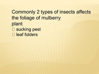 foliage pest of mulberry | PPTX | Beekeeping | Hobbies & Interests