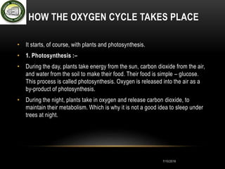 OXYGEN CYCLE | PPTX