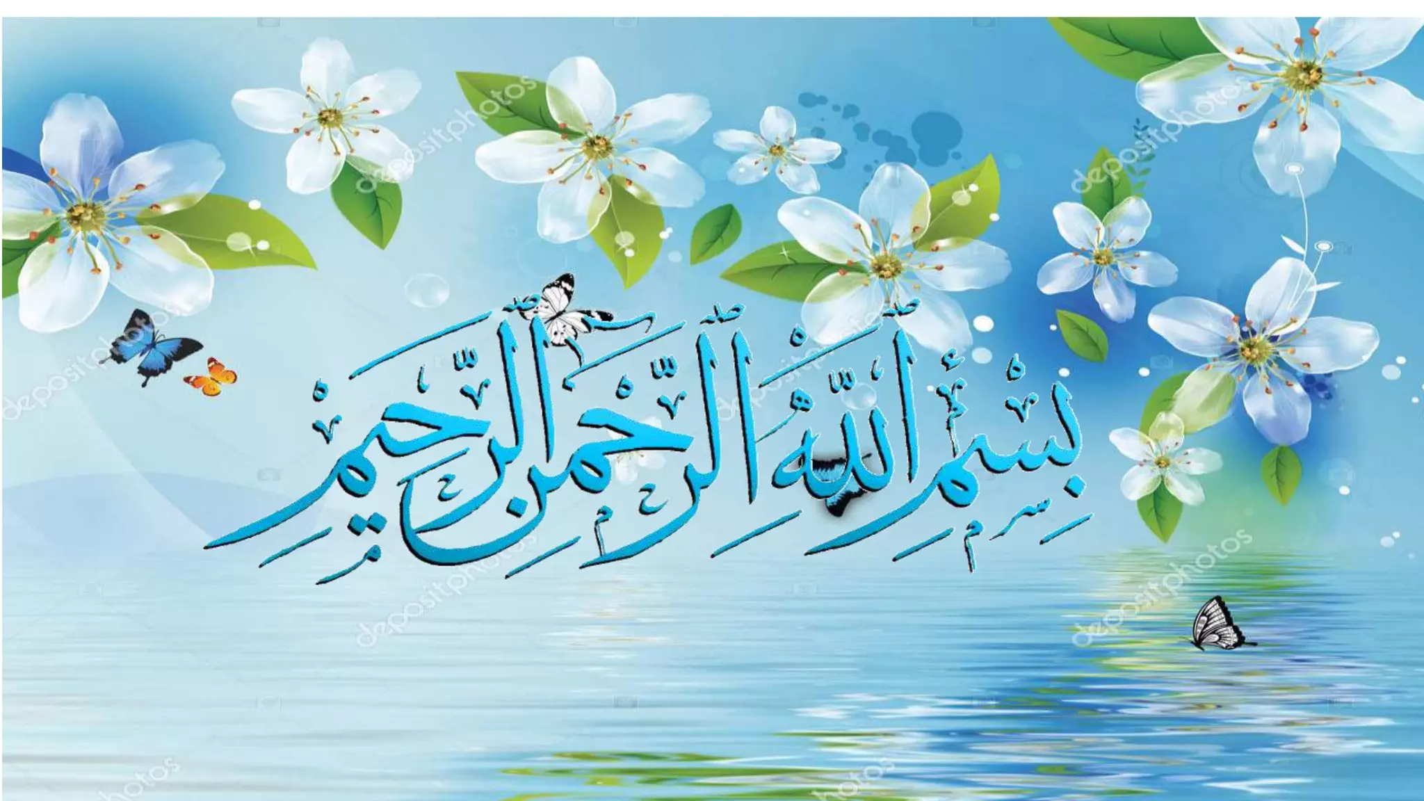 TURTLES VS TORTOISES | PPT