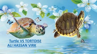 TURTLES VS TORTOISES | PPTX