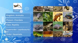 SNAKES VS LIZARDS | PPTX