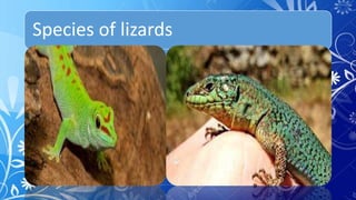 SNAKES VS LIZARDS | PPTX