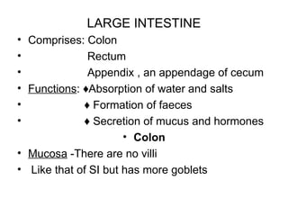 ALI III-2004 ALIMENTARY SYSTEM and its metabolic processess.ppt