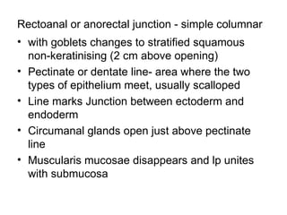 ALI III-2004 ALIMENTARY SYSTEM and its metabolic processess.ppt