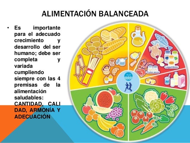 la alimentacion: LA ALIMENTACION
