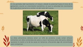 Alimentación bovinos en las diferentes categorías | PDF